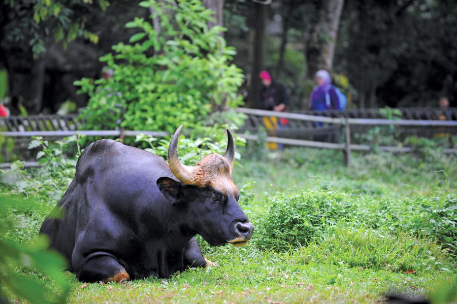 Harga Tiket Zoo Melaka Utk 2025 + Diskaun Online