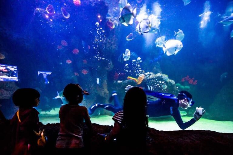 Harga Tiket The Shore Oceanarium Melaka 2025 + Tips Pelawat