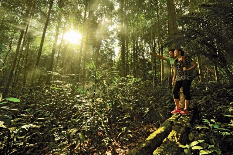 Apa Ada kat Taman Negara Endau Rompin ? Info Pengunjung