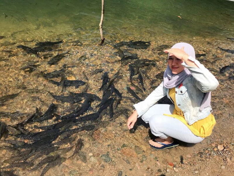 Harga Tiket Fish Spa Tagal Sungai Moroli Ranau Sabah 2024 + Tips Pelawat