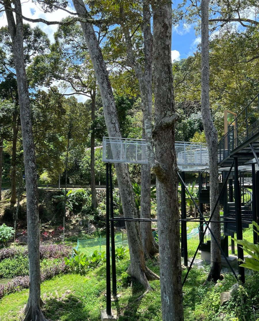 2 Acres – Ini Cafe Utk Makan Durian Balik Pulau Kat Dalam Kebunnya ...