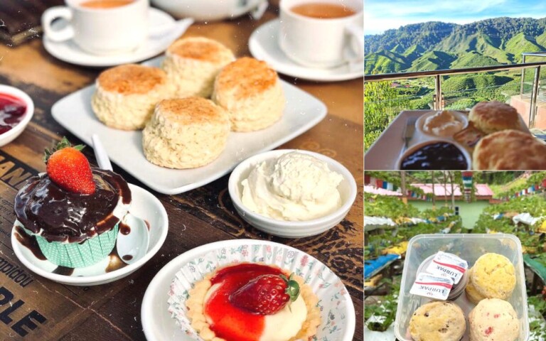 Harga Agro Market Cameron Highlands 2025 - Murah Bila Beli Online!