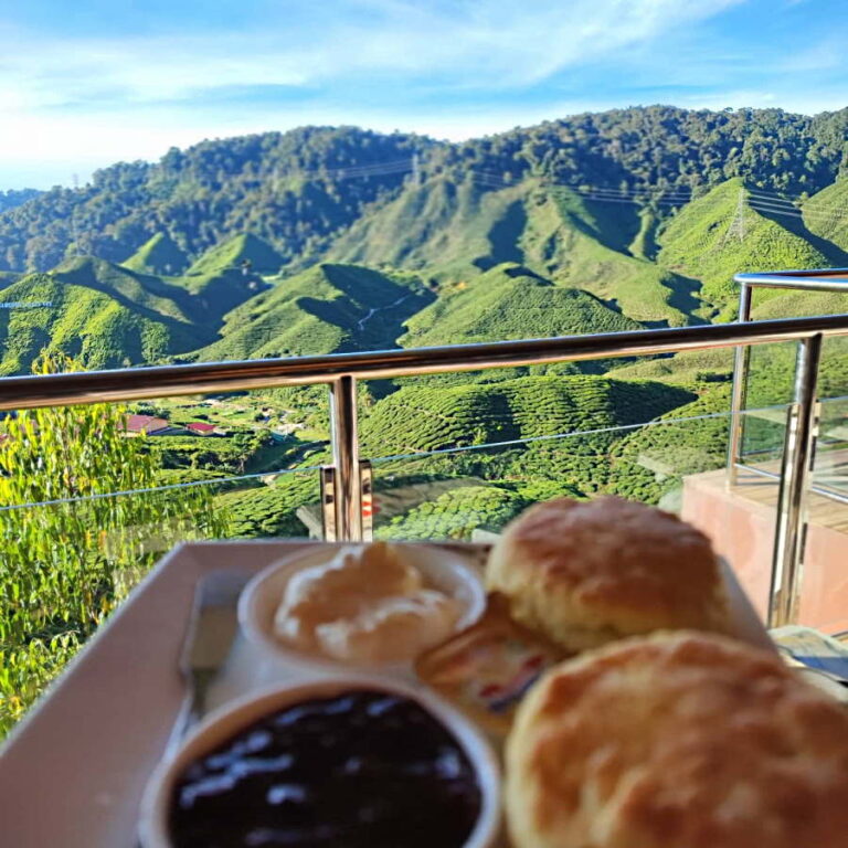 7 Tempat Makan Scone Terbaik kat Cameron Highlands Yg Teringat-Ingat ...
