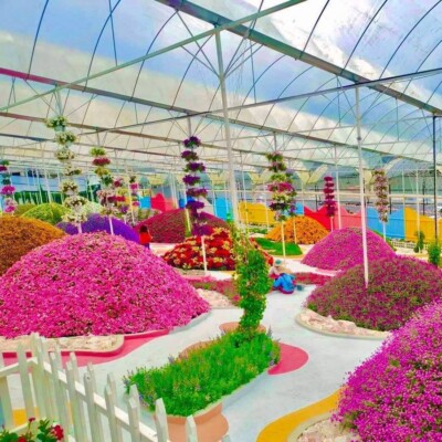 Harga Tiket Agro Market Cameron Highlands 2025 + Promosi Diskaun Online