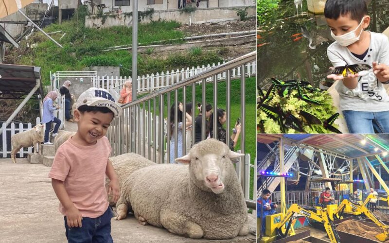 Harga Agro Market Cameron Highlands 2025 - Murah Bila Beli Online!