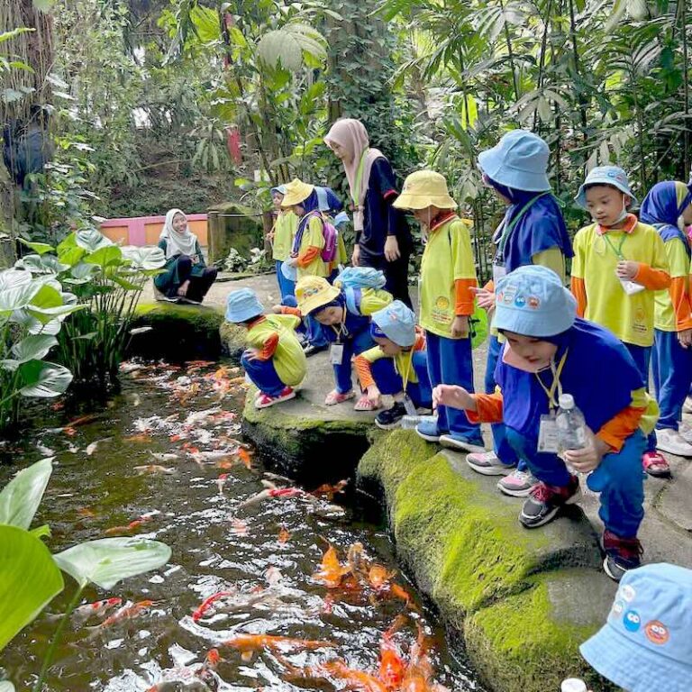 Harga Taman Rama-Rama Dan Reptilia 2025 - Murah Bila Beli Online!