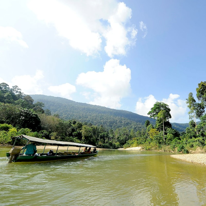 Harga Endau Rompin 2025 - Murah Bila Beli Online!