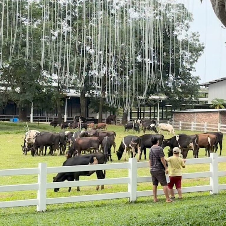 Harga Tiket Farm Fresh @ UPM 2025 - Murah Bila Beli Online!