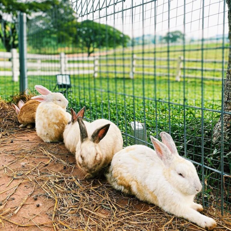 Harga Tiket Farm Fresh @ UPM 2025 - Murah Bila Beli Online!