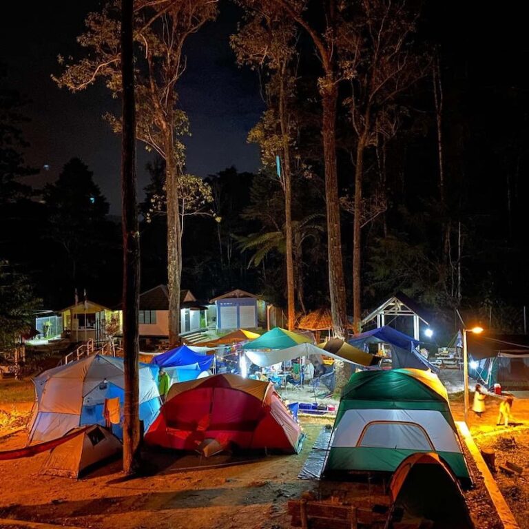 Harga Agro Market Cameron Highlands 2025 - Murah Bila Beli Online!